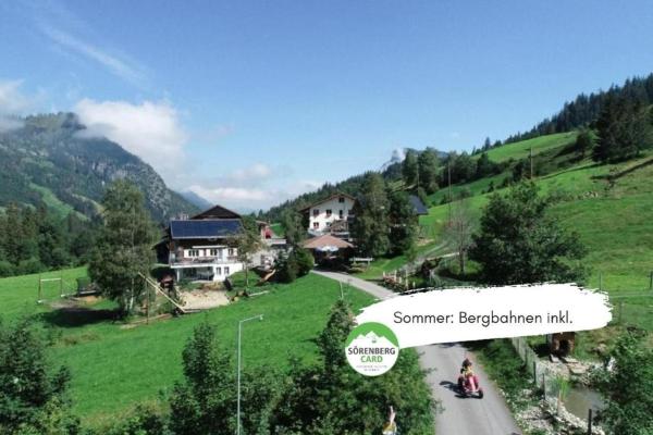 Schrattewohnung Birkenhof 4-bett - Brienz