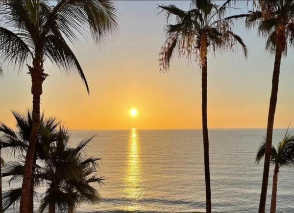 Sauza - Los Barriles