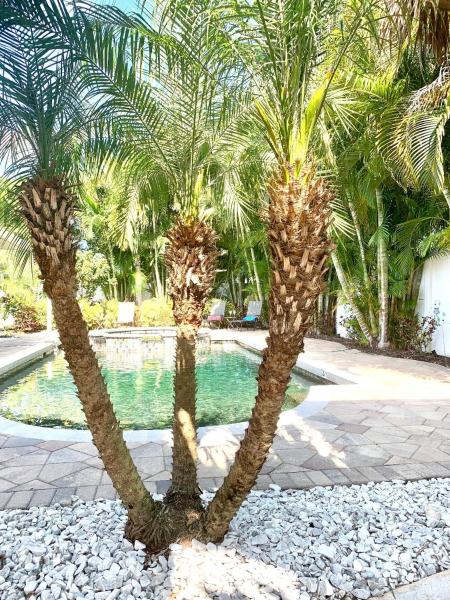 Tropical Oasis 10th - Bradenton, FL