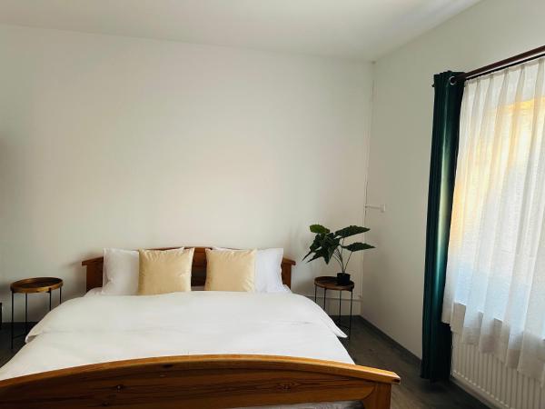 Wood & Moss Apartment - Central - Free Parking - Nice Garden - 克盧日-納波卡