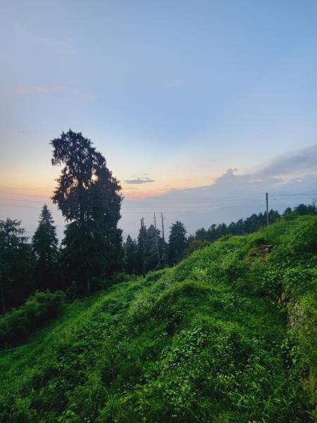 Greenvalley View Kalatop-forest View - Khajjiar