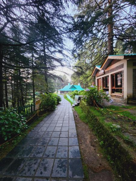 Forest Vibes Kalatop-rooms And Restaurant - Khajjiar