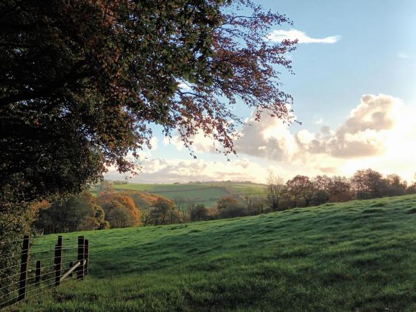 Lower Hearson Farm Cottages, Animal Experiences, Seasonal Outdoor Heated Pool, Games Barn, Free Fast Wifi, Free Parking - Devon