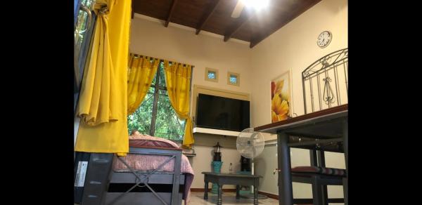 Dreams - La Plata, Argentina