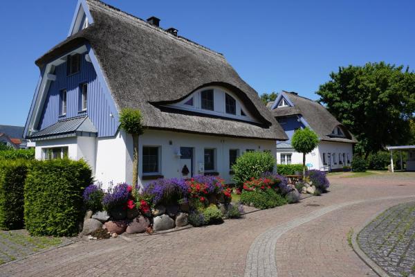 Kranich - Zingst