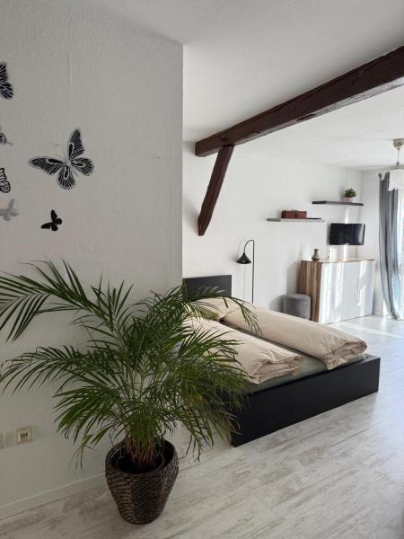 Ferienwohnung Im Stadtkern Großbottwar - Löwenstein