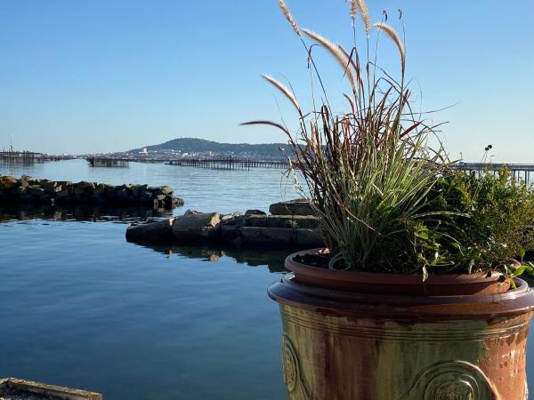 Lemodernlounge, Hébergement Cosy Moderne Spacieux - Bouzigues