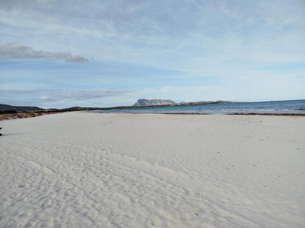 The Apricot House, Alle Porte Di San Teodoro - San Teodoro