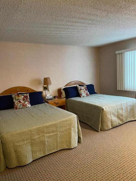 #146 Golf, Ski, Pool Pass Walk To Hill - Michigan