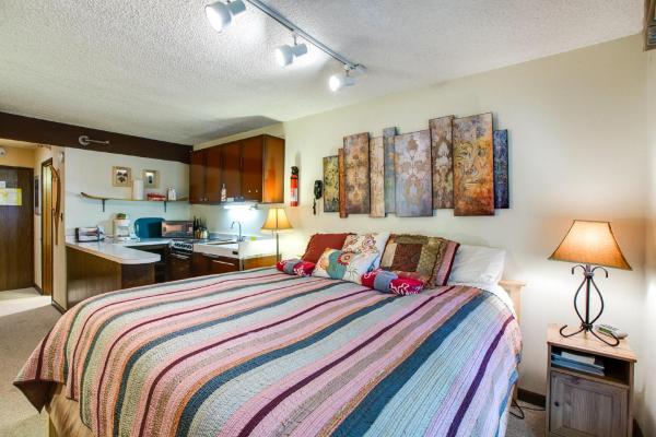 Snowline Lodge Condo #46 - Free Wi-fi - Sleeps 2 - Mount Baker, WA