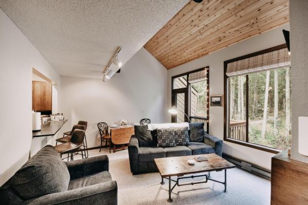 Snowater Condo 14 - Blissful Relaxation! - Glacier, WA