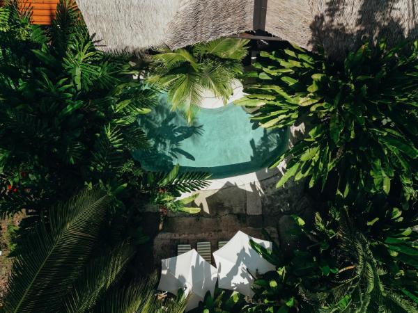 Conga Boutique Hotel - Puerto Viejo de Talamanca