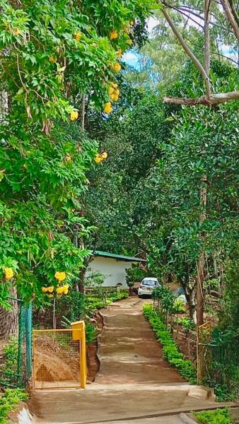 Serenity At Natures Nest - Entire Home - Sri Lanka