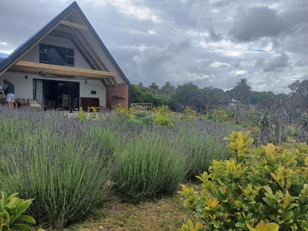 The Jbaynian Guesthouse - Humansdorp