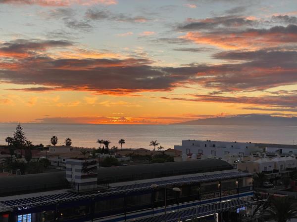 Flamingo Palm-mar - Los Cristianos