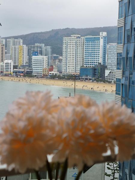 #Gwangan Bridge#광안리해수욕장#광안대교뷰#해변뷰#헬스사우나#코니하우스 - Busan