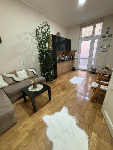 Apartment Dana - Belgrade