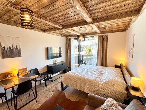 Corso Rustic Luxury Apartment Harrachov, Ski In - Ski Out, Free Parking, High Speed Wi-fi, Smart Tv - Harrachsdorf