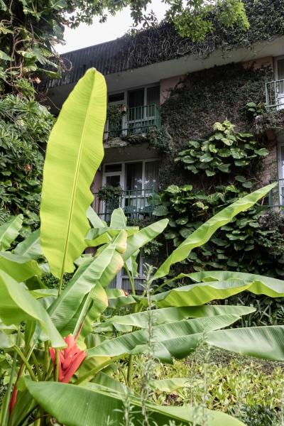 Novo Hotel & Suite - Dipartimento di San Salvador