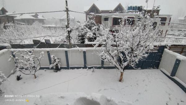 The Vintage Kashmir Homestay - Srinagar