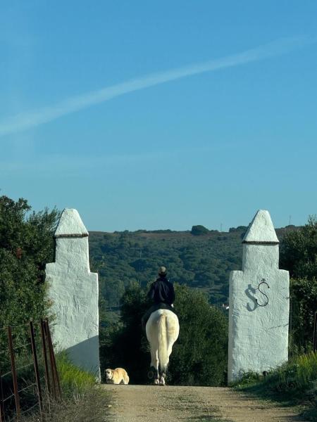 Cortijo La Sierrazuela - Algar