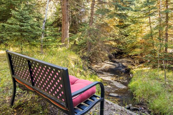 Creekside Mountain Views Hot Tub - Evergreen, CO