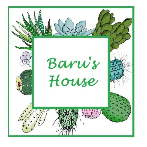 Baru's House - Palermo