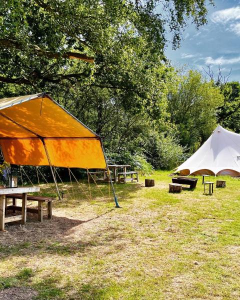 Lickham Bottom Camping - Devon