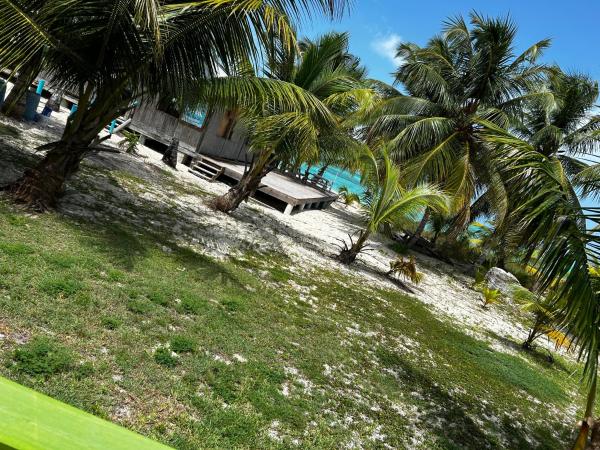 J&l Beachfront Bliss Steps To Sand An Sunset Views - The Bahamas