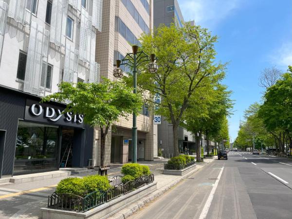 Odysis Sapporo Odori Koen Hotel - Sapporo