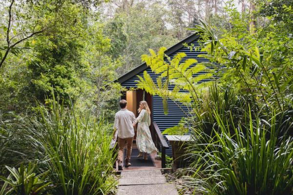 Kondalilla Eco Resort - Maleny
