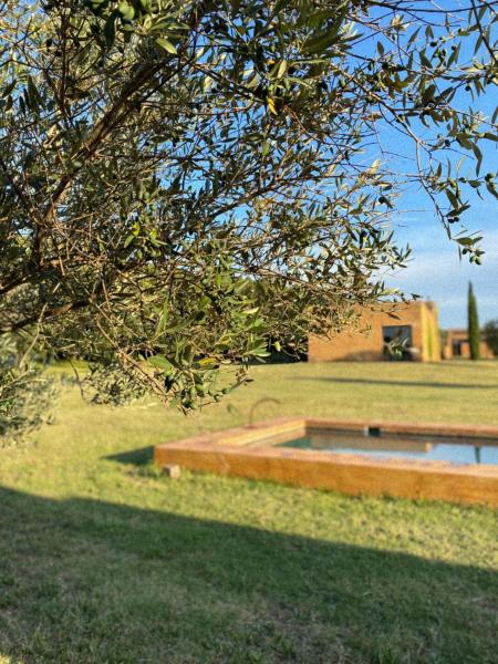 L'olivar - Sant Pere Pescador