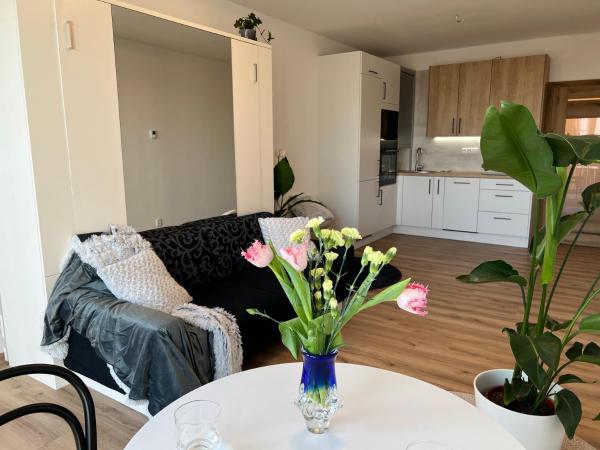 Apartment Blue Heaven - Brno