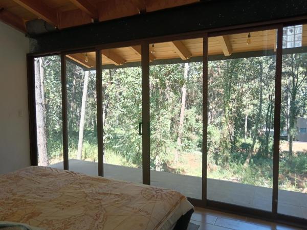 New House In The Forest - Mexico