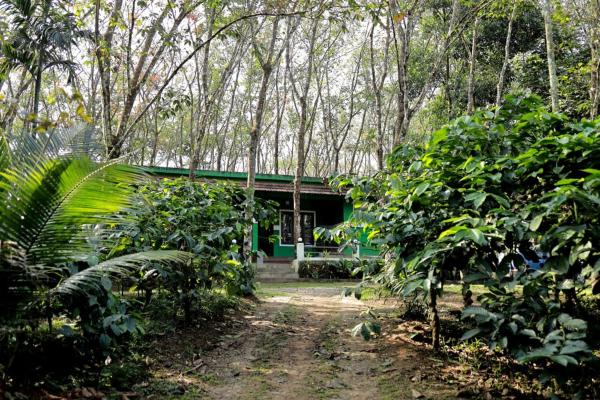 Green Wayanad Homestay - 와야나드 지구
