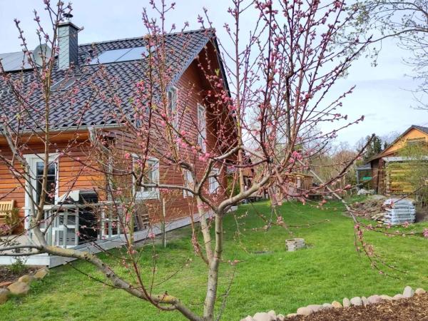 Apartment In Müncheberg 53547 - Müncheberg