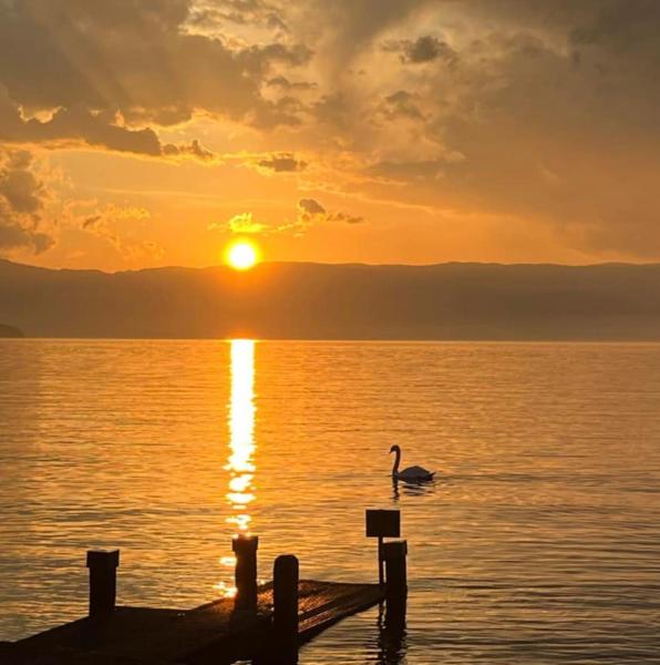 Les Bord Du Lac Leman - Yvoire