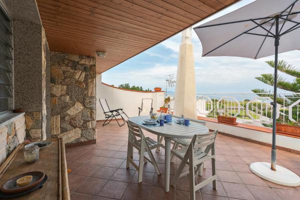 Una Araucaria Sul Mare - Patti