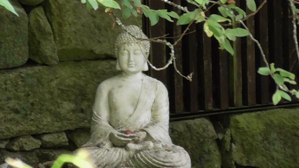 Tienda De Campaña En Ecoaldea Vegana Espiral En Plena Naturaleza Con Comida Y Cena Incluida - Douro