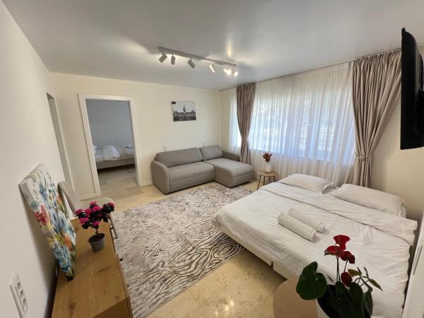 Central Premium Apartment - Iași