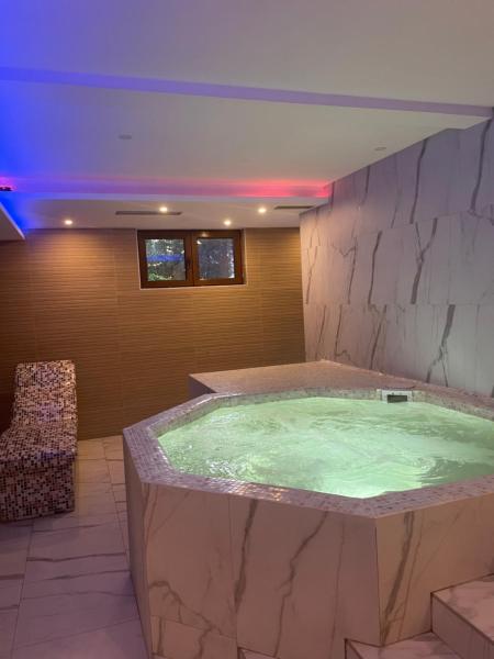 Relax Studio Sa Pristupom Spa Zlatibor - Zlatibor