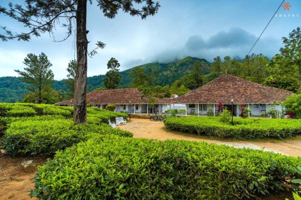 Zostel Plus Wayanad - Wayanad