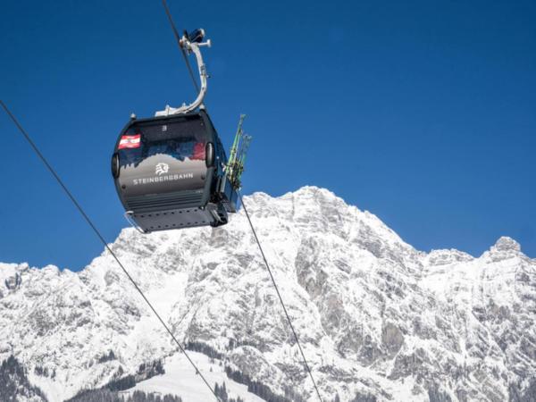 Apartment In Saalfelden Near Ski Slopes - Saalfelden am Steinernen Meer