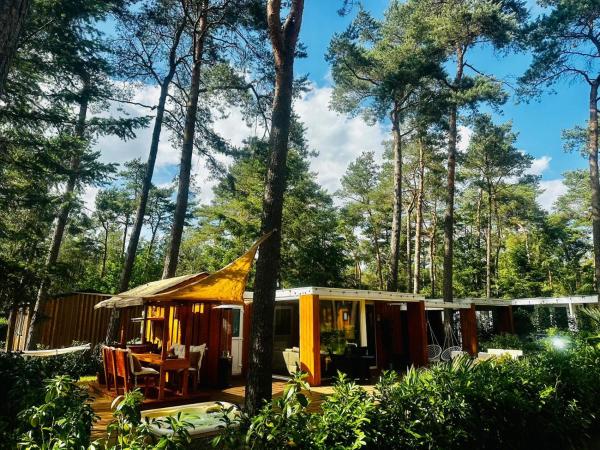 Onthaasten Op De Veluwe - Nunspeet