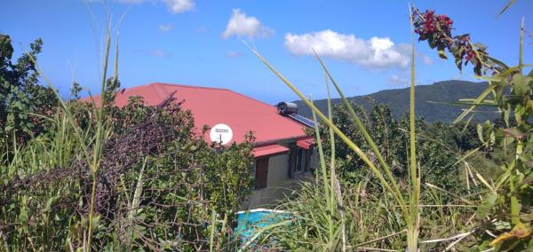 Les Pimentiers De Papaye - Guadeloupe