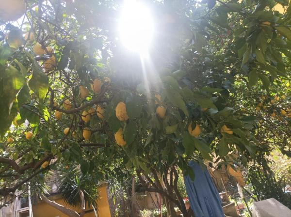 Il Giardino Nascosto - Неаполь