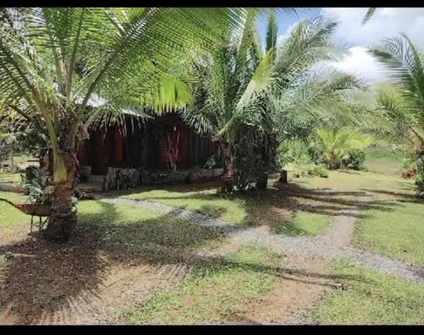 Su Cabaña Río Celeste - Costa Rica