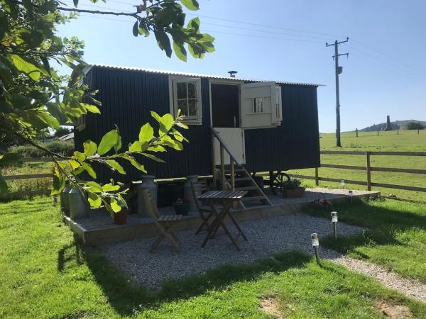 Phoenix Farm Shepherds Hut,minions, Cornwall - Liskeard