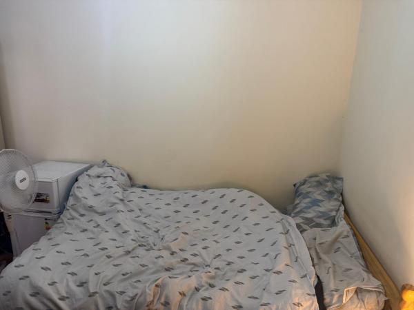 Chelten Palace - Chingford