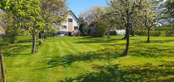 Apartmán Vysoké Nad Jizerou - Harrachov